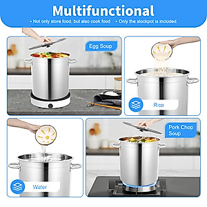 30 Quart 35L Commercial Grade Stockpot 201 Stainless Steel Stockpot Heavy-Duty Canning Pot Soup Pot Induction Pot with Lid and Riveted Handles for Soup Seafood Stock Canning Silver