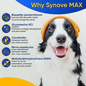 Synove Max Soft Chews for Dogs (240 Count) Beef Flavor, Joint Supplement, Glucosamine, Turmeric, Boswelllia serrata, Creatine Naturally Derived Ingredients better than synovi g4 soft chew
