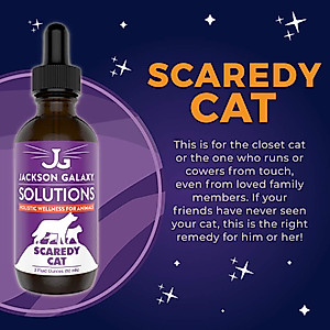 Jackson Galaxy: Scaredy Cat (2 oz.) - Pet Solution - Promotes Sense of Self-Confidence and Reassurance - Perfect for Cats Who Hide and Run from Touch - All-Natural Formula - Reiki Energy