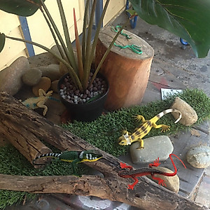 BAINFE 12Pcs Fake Plastic Lizard Toys Colorful Rubber Lizards Action Figure Reptile Toy Lizard Realistic Favors Gag Toys Prank and Prop, 5.5" Lizards 12 Styles