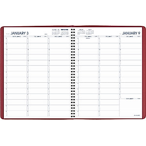 2022 Weekly Appointment Book & Planner by AT-A-GLANCE, 8-1/4" x 11", Large, Fashion Color, Red (7094013)