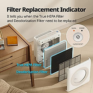 Coway Airmega AP-1512HH(W) True HEPA Purifier with Air Quality Monitoring, Auto, Timer, Filter Indicator, and Eco Mode, 16.8 x 18.3 x 9.7, White