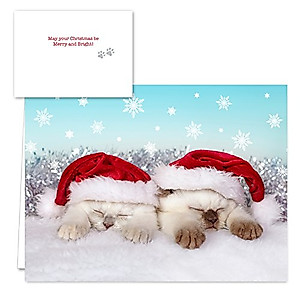Christmas Cats Holiday Card Assortment Pack / 25 Seasonal Kitten Greeting Cards And Envelopes / 5 Sleeping Santa Animal Designs And Christmas Messages