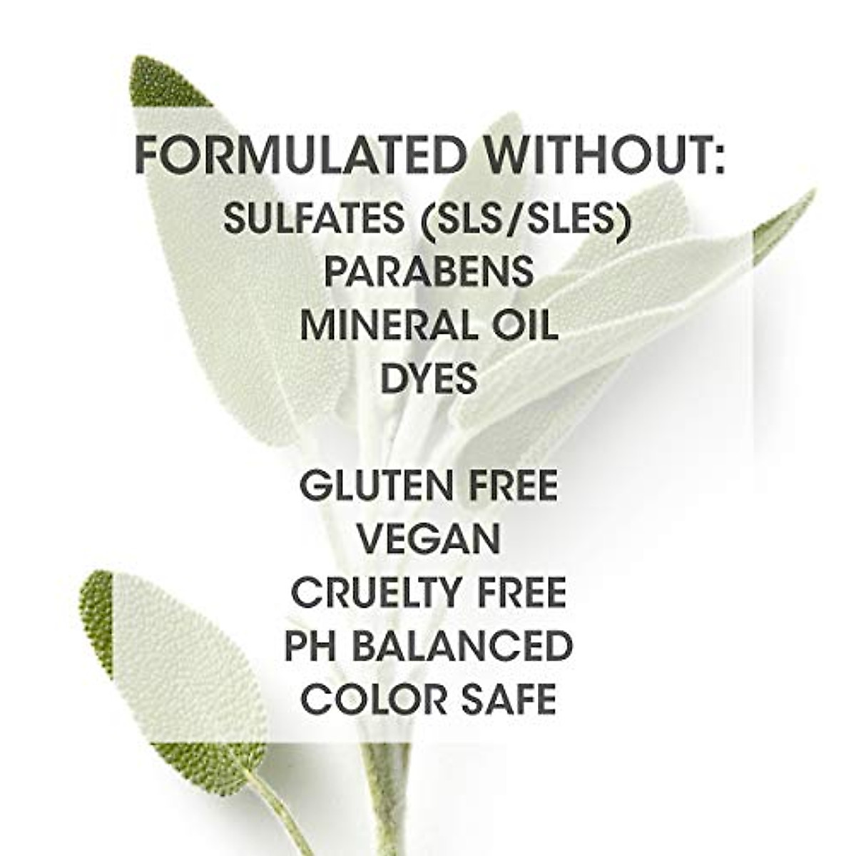 SEVEN Hair Care Cubica Clarifying Shampoo for Women & Men, Detox and Minimize Dry Scalp + Buildup with Rosemary, Eucalyptus & Rose Hip Oil, Cruelty Free, Sulfate Free, Made in USA, 7 oz