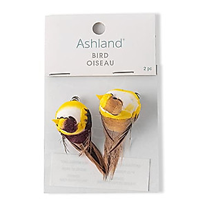 Michaels Bulk 24 Packs: 2 ct. (48 Total) Mushroom Birds by Ashland™