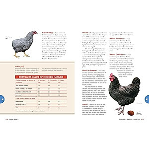 The Chicken Encyclopedia: An Illustrated Reference