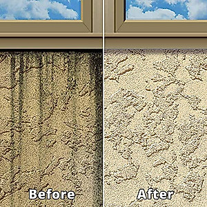 Rejuvenate High Performance Dual Bottle 32oz Outdoor Window Cleaner & 32oz Mold and Mildew Stain Remover with Hose-End Attachment