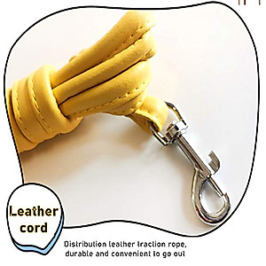 mcgrady1xm Small Animal Harness Vest and Leash Set, No Pull Comfort Clothes with Accessory, Travel Escape Proof Harness for Rabbit Ferret Guinea Pig Bunny Hamster Puppy Kitten (S)