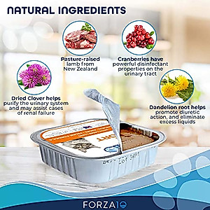 Forza10 Wet Renal Care Cat Food with Lamb, 3.5 Ounce Can Kidney Support and Renal Health, 12 Pack