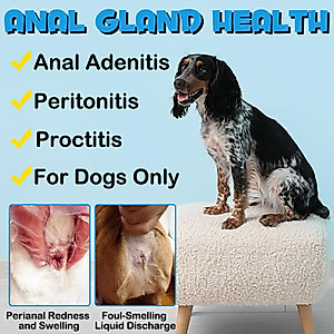 Anal Gland Support Soft Chews for Dog, 150PCs Dog Anal Gland Treats w/Pumpkin, Digestive Enzyme & Probiotics Support Healthy Bowel Function - Dog Health Supplies Fibre Supplements Chews - Beef Flavor
