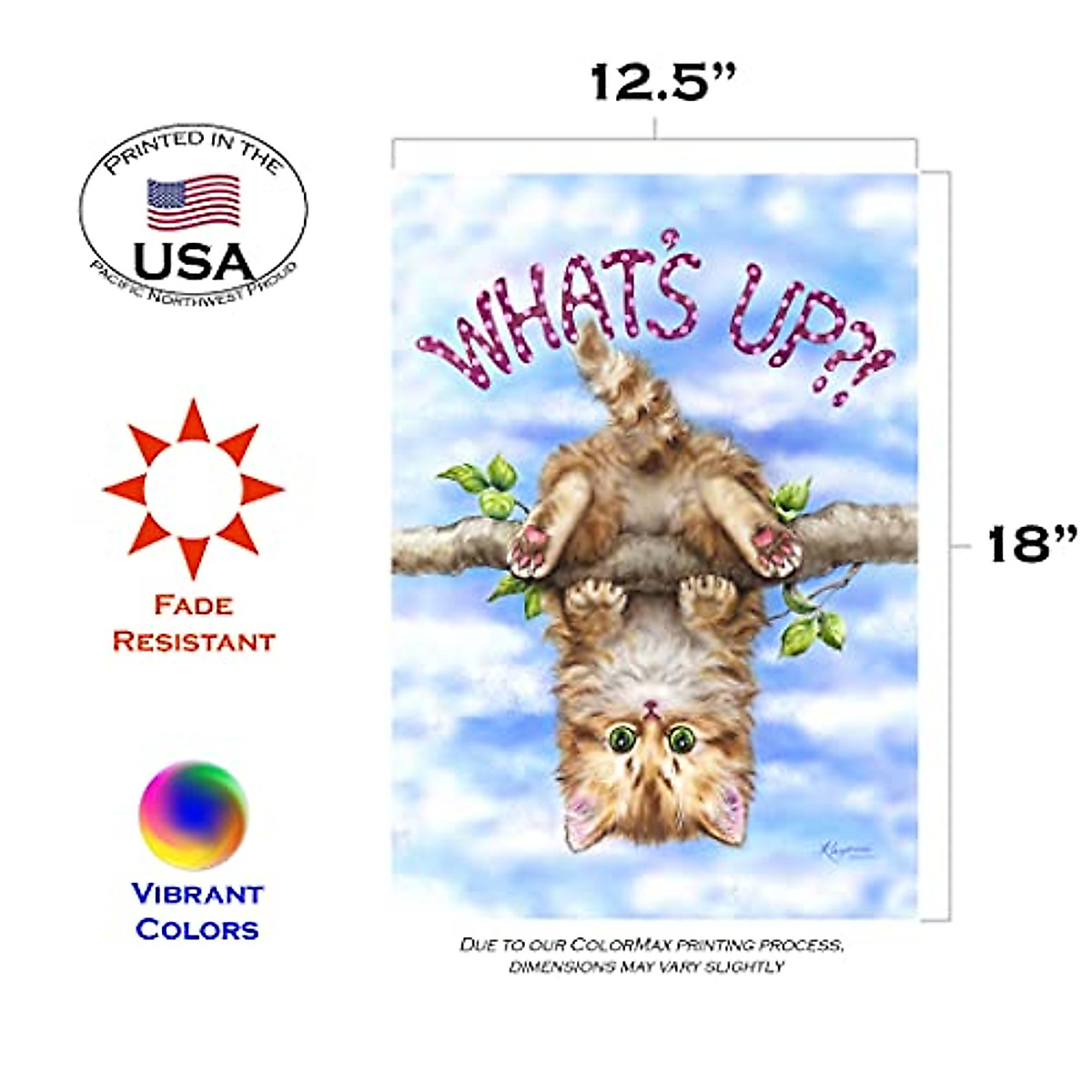 Toland Home Garden 1110807 What's Up Cat Flag 12x18 Inch Double Sided Cat Garden Flag for Outdoor House Kitten Flag Yard Decoration