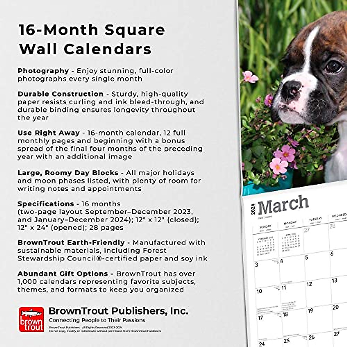 Boxer Puppies | 2024 12 x 24 Inch Monthly Square Wall Calendar | BrownTrout | Animals Dog Breeds Puppy