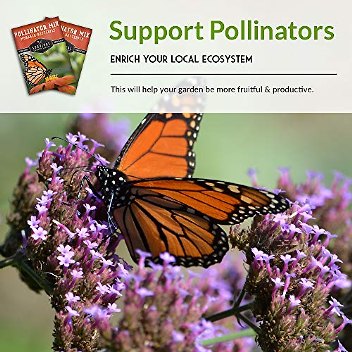 Pollinator Seed Mixture to Attract Monarch Butterflies, Bees & Pollinators - 1 Packet - Milkweed, Garden Flower, & Wildflower Mix for Planting - Support Conservation Efforts - Survival Garden Seeds