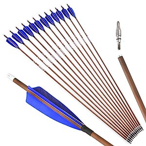 ZSHJGJR 31" Archery Carbon Arrows Spine 340 400 500 600 Hunting Arrows with Removable Tips Natural Feather Targeting Arrows for Compound & Recurve & Traditional Bow 6/12pcs (Spine 340, blue, 12)