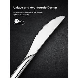 Stapava 48 Pieces Matte Silverware Set with Steak Knives, Plus Dinner Knives Set of 12, Stainless Steel Flatware Cutlery Set, Kitchen Utensil Set Include Spoons Forks Knives, Dishwasher Safe
