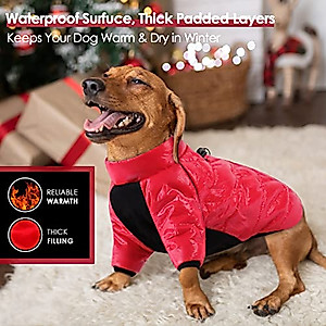 AOFITEE Dog Snowsuit, Waterproof Dog Winter Coat, Windproof Warm Dog Puffer Jacket, Zip Up Dog Cold Weather Coats with Reflective Stripes and Collar, Outdoor Dog Apparel for Small Medium Dogs