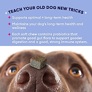 GoodGood Healthy Aging Dog Supplements; Supports Optimal Long-Term Health; Adult or Older Dog; Soft Chews with Astragalus, Turmeric, and Resveratrol; Probiotics; 90 Natural Flavor Chews