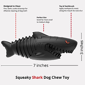 Dog Toys, Squeaky Dog Chew Toy - Tough & Durable Natural Rubber Dog Toy & Toothbrush for Pet Dental Care & Healthy Gums