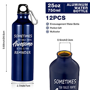 Hoolerry 12 Pack Multi Color Aluminum Water Bottle Sometimes You Forget You're Awesome Lightweight Reusable Bike Backpacking Water Bottles Bulk with Buckle and Twist Cap for Travel Sport(25 Oz)