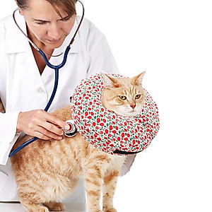 Purrrfect Life Protective Inflatable Collar for Dogs and Cats - Soft Pet Recovery Collar Does Not Block Vision, Prevents Pets from Touching Stitches, Wounds and Rashes (Floral - 1, Neck 6" - 8")