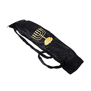 Shofar from Israel Polish Polished Silver Plated Set Kudu Horn Yemenite Lion Of Judah + Bag + Spray + Guide + Carrying Box Case (30"-32")