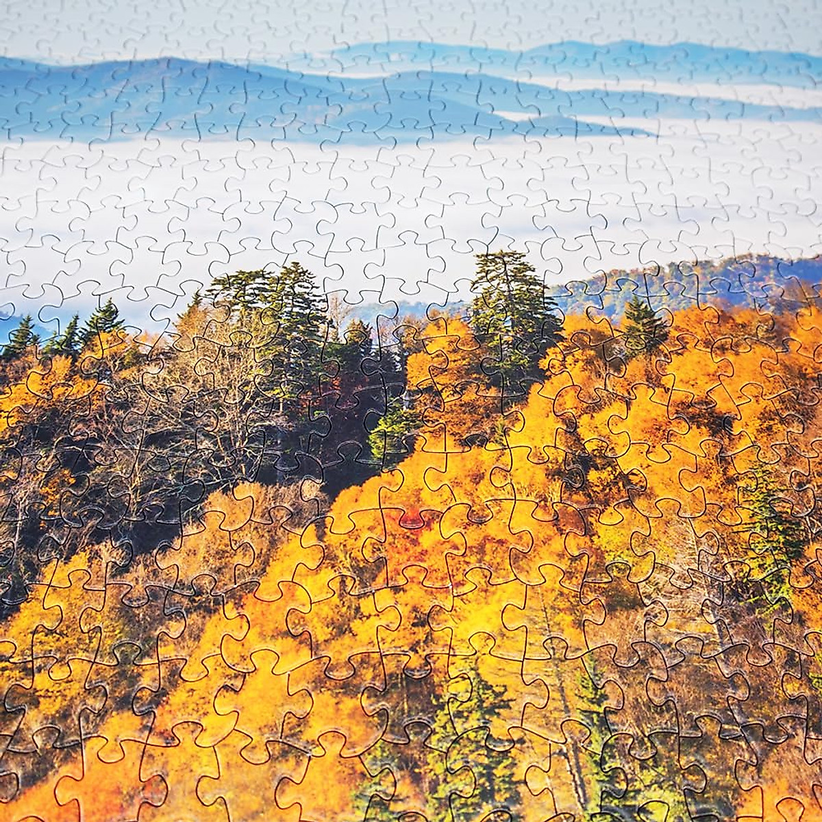 BEDUKE Jigsaw Puzzles for Adults 1000 Piece Sturdy Premium Thick Paper Cardboard Colorful Rainbow Design Puzzle Interlocking Precise Unique Shape Pieces Family Game Eco-Friendly Paperboard Age 14+