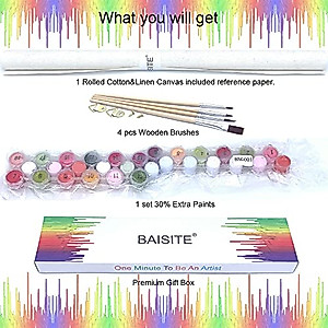 BAISITE Paint by Numbers for Adults Beginners and Kids,16" Wx20 L Canvas Pictures Drawing Paintwork with 4 Pcs Wooden Paintbrushes,Acrylic Pigment Poppy Flowers-BSC012