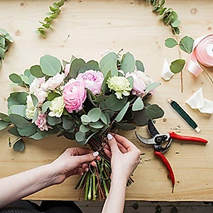 DOITOOL 3pcs Iron Wire Gardening Tree Wire DIY Bonsai Wire Stems Aluminum Bonsai Training Wire Bonsai Tool Kit Heavy Duty Wire Bonsai Wires Anodized DIY Kits Flexible Metallic Paint