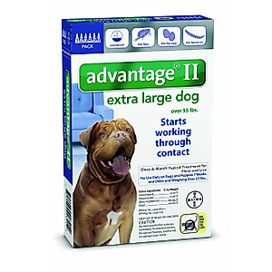 Advantage - Blue Box for Dogs over 55 pounds - 6 pack