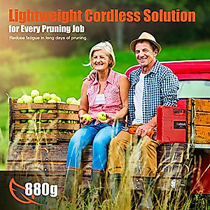 Pruning Shear Battery Powered, Kebtek Electric Pruning Shears Cordless Portable Electric Pruner with 2Pack 2Ah Rechargable Batteries -16.8V 25MM(0.98Inch)Cutting Diameter2