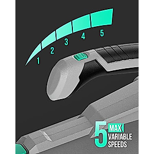 Litheli 20V Cordless Leaf Blower, 350 CFM 85 MPH Battery Leaf Blower, Variable Speeds Leaf Blower for Cleaning Leaves, Dust, Snow, Lawn, Yard, 4.0Ah Battery & Fast Charger Included