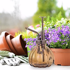 SAFIGLE Watering can Plants Spray Mister Glass Mister Spray Bottle Water Spritzer for Plants Succulent Accessories Succulent Watering Bottle for Home Balcony Glass Spray Bottle