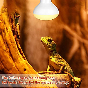 NEPTONION Reptile Heat Lamp 75W UV Heat Light Bulb, Basking Daylight Spot Bulb for Lizard, Tortoise, Bearded Dragon (E26,110V)