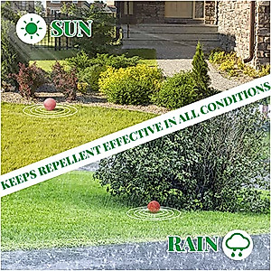 24Pcs Snake Away Repellent for Outdoors Indoor, Snake Repellent Balls for Snakes Rats and Other Pests, for Yard Lawn Garden Camping Fishing, Natural Plant Formula Pest Insect Control, Pet Safe