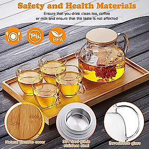 Glass Teapot Stovetop Microwave Safe, 50oz/1500ml Glass Tea Kettle with Bamboo Lid and Removable Filter Spout, Heatproof Borosilicate Glass Teapot for Loose Leaf, Blooming Tea and Fruit Tea…