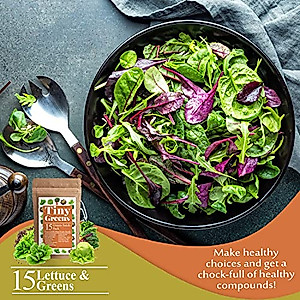 15 Heirloom Lettuce & Leafy Vegetable Seeds | 4000+ Seeds | Non GMO Seeds for Planting | Hydroponic Garden Seeds - Indoors or Outdoor