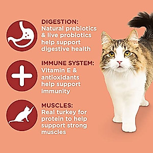 Rachael Ray Nutrish Inner Health Premium Natural Dry Cat Food with Added Vitamins, Minerals & Other Nutrients, Turkey with Chickpeas & Salmon Recipe, 14 Pounds
