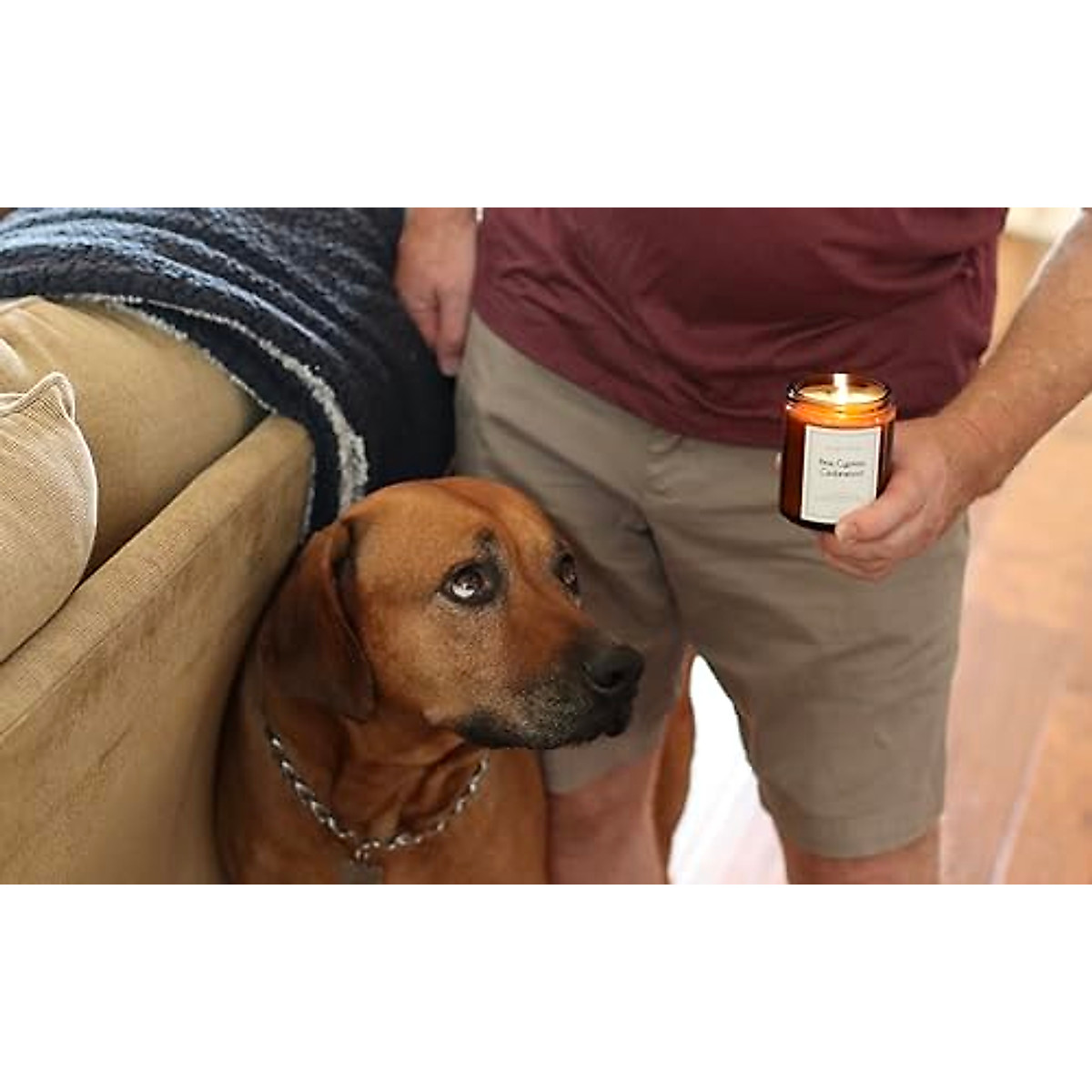 All-Natural Pine, Cypress, Cedarwood Aromatherapy Essential Oil Candle, Safe for People and Pets, Made with Pure Sustainable Organic Vegan Coconut Wax, Allergy Friendly, Non Toxic, Zero Waste