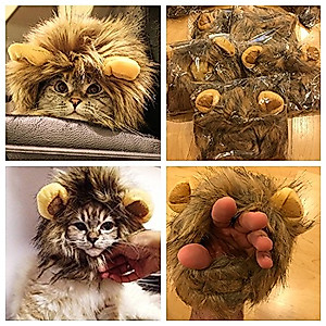 OMG Adorables - Lion Mane Costume for Cats