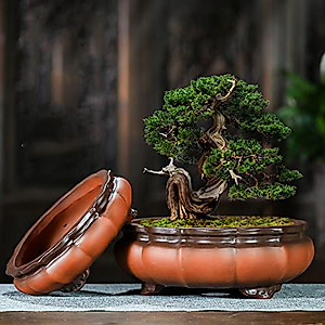 Plant Pot 12.71 Inch Purple Sand Flower Pot Retro Three-Legged Round Flowerpot Classical Potted Table Decoration Purple Sand Flower Pot Succulent Bonsai Flowerpot