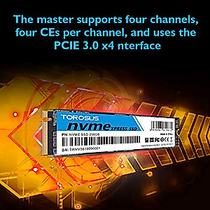 TOROSUS M.2 256GB NVME PCle 2280 Internal SSD High Performance Solid State Drive