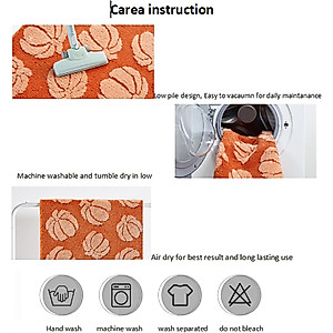 Aldopein Cute Pumpkins Bathroom Rugs Non Slip Washable, Burnt Orange Aesthetic Fall Autumn Bath Mat Rug Shaggy, 2x3 Rustic Farmhouse Country Fall Area Rugs for Bathroom Kitchen Entryway Indoor