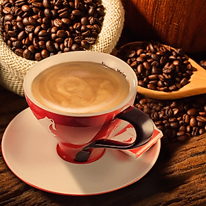 Julius Meinl: "Präsident", Classic Viennese Medium Roast Coffee Beans, 500g / 17.6oz (1)