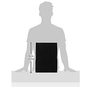 LivePure CocoCarbon Replacement LP-PF900 Pre-Filter for Aspen Series Air Purifier LP350TH, LP350THP, 2 Pack, 2 Count (Pack of 1), Black