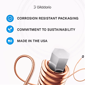 D'Addario Acoustic Guitar Strings - 80/20 Bronze - For 6 String Guitars - Deep, Bright, Projecting Tone - Deep, Bright, Projecting Tone - EJ11 - Light, 12-53