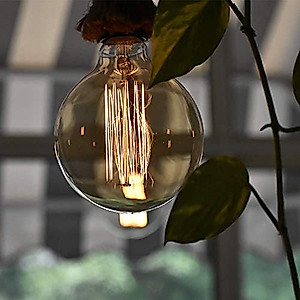 New Lights G25 Globe Edison Bulb, 60W Vintage Round Edison Bulb, Vintage Light Bulb, Old Fashion Dimmable Retro Incandescent Light Bulbs, 2100K Warm White, 240 Lumens,E26, Amber Glass, 4 Pack