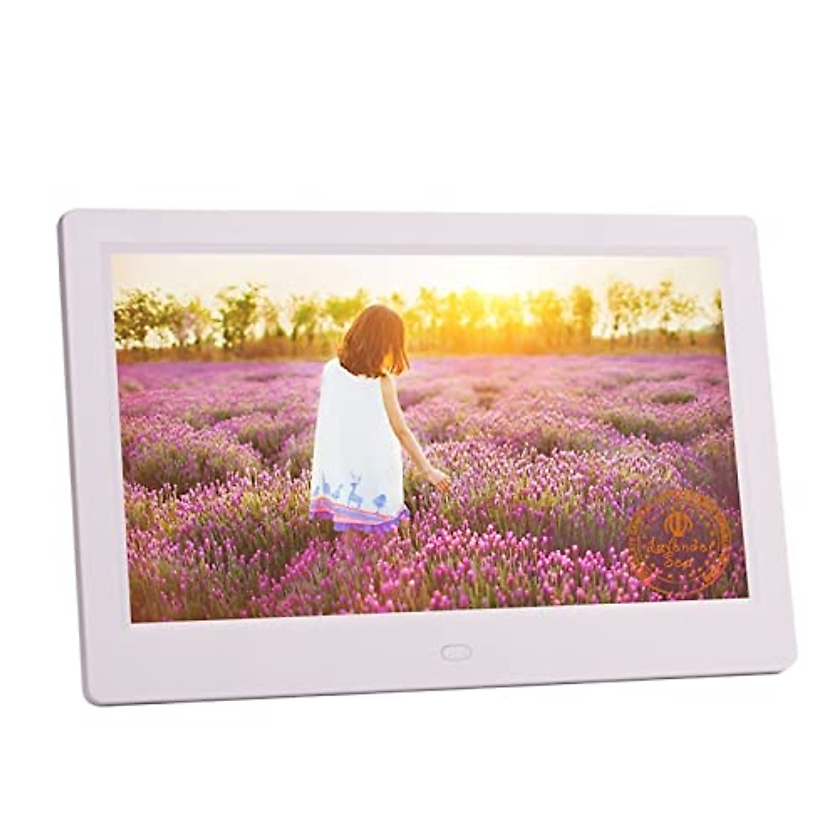 10 Inch Screen LED Backlight HD 1024 * 600 Digital Photo Frame Electronic Album Picture Music Movie Full Function Good Gift (Color : White 16GB, Size : US Plug)