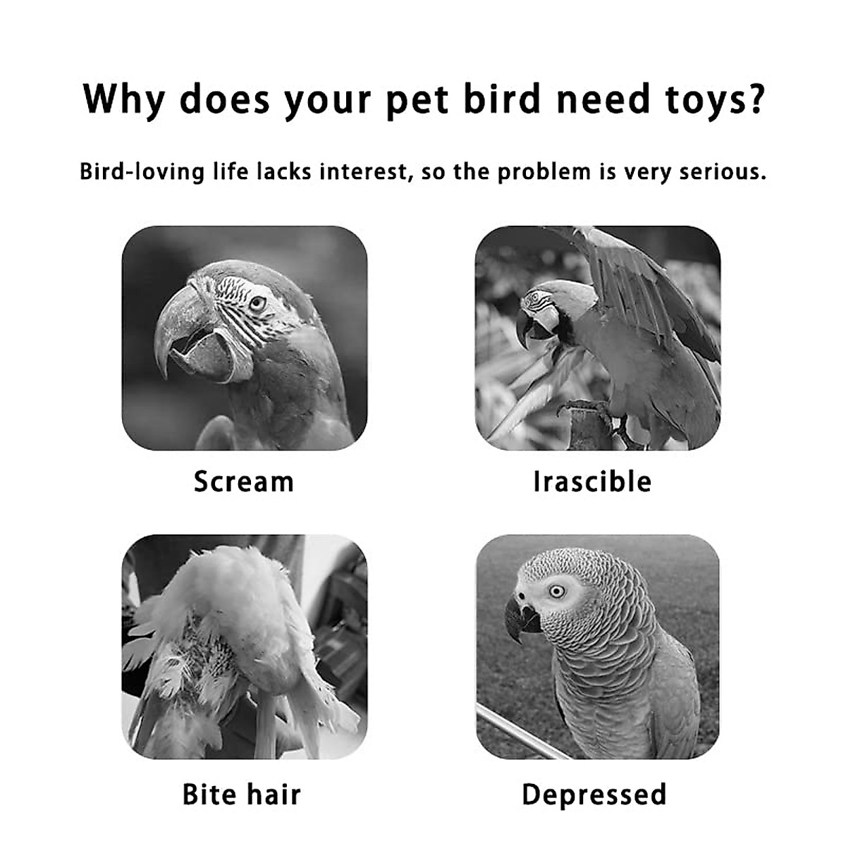 Parrots Playstand, Bird Playground, Bird Parrot Perch Stand, Parrot Climbing Ladder Swing Toy for Small Parakeets, Cockatiels, Finches, Budgie(14.57 * 10.24 * 17.32IN)