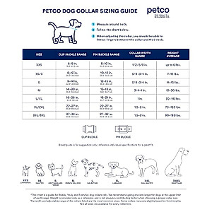 EveryYay Head of The Class Head Halter for Dogs Large