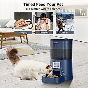 KESTERRA Automatic Cat Feeder, 4L Auto Dry Food Dispenser Small Dog Pet Feeder with 4 Meals Per Day Programmable Timed, 10s Voice Recorder, Twist Lock Lid, Stainless Steel Bowl, Dual Power Supply Blue